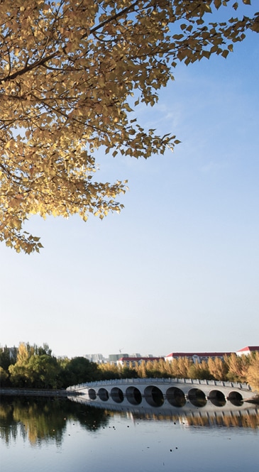 Shama Serviced Apartments - Modern Residences for Rent